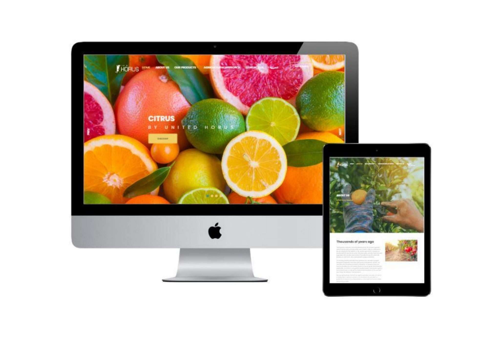 Silva - INSPECT BUSINESS SOLUTIONS